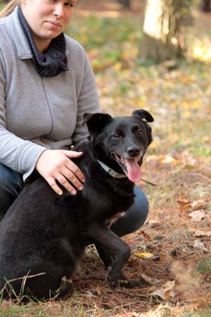 Labrador-Spitz-Mix - Marvin, (Rüde) - Zuhause gefunden - Tierschutzliga ...